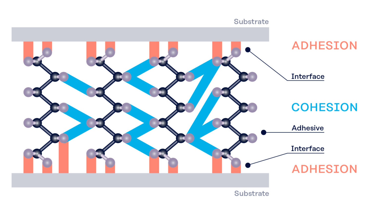 What Are Polymer Adhesives - Kuraray Elastomer Division
